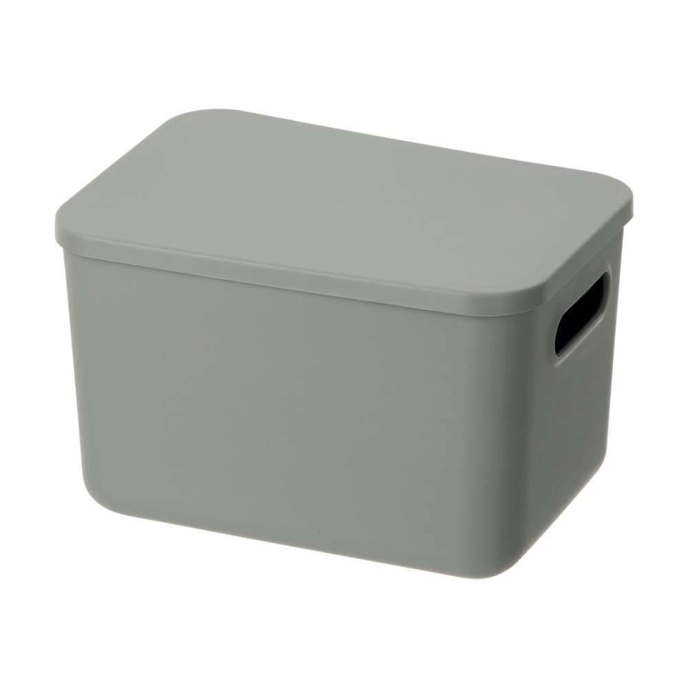 Plastic Storage Containers with Lid - Organization | YBM Home